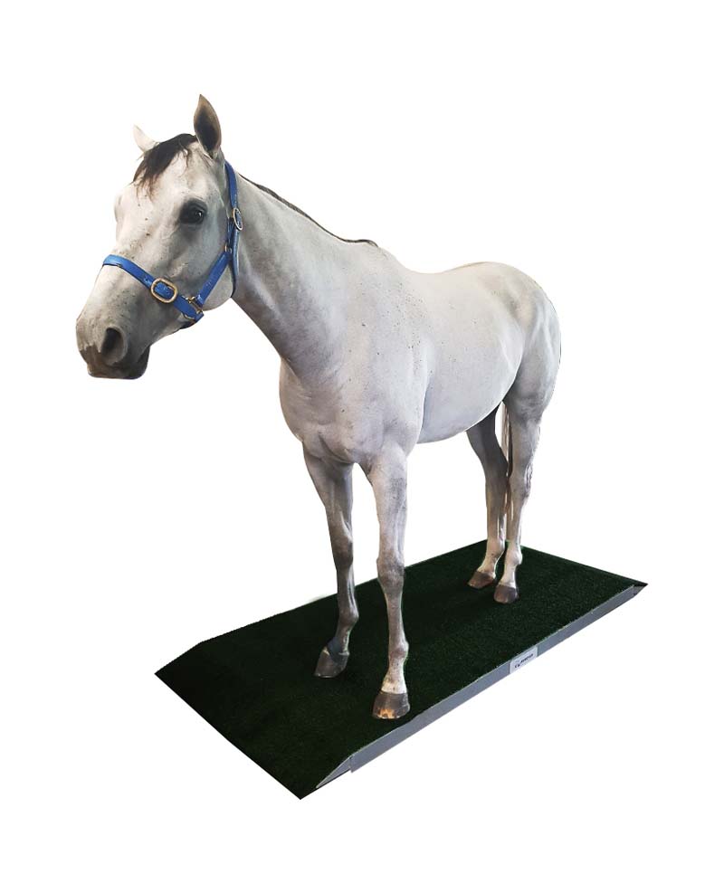 Horse Scales - Heavy Duty, Non-Slip - With LCD Screen | Nuweigh